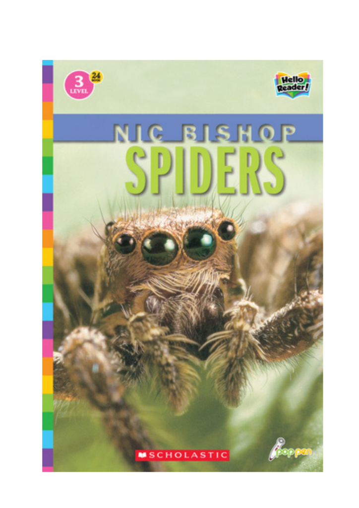 Spiders – Scholastic